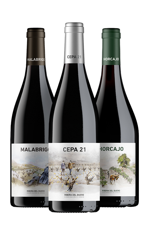 Comprar Estuche Premium Cepa 21 | Bodeboca