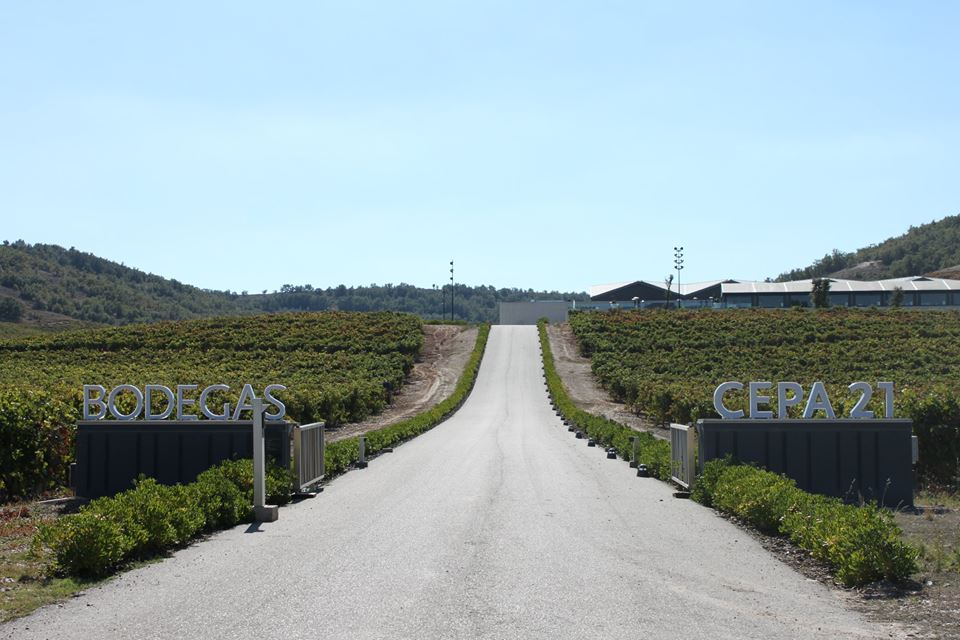 Comprar los vinos de Bodegas Cepa 21 directamente de la bodega | BODEBOCA