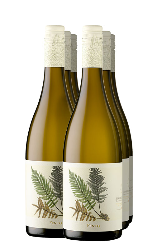 Fento Albariño 2016 (x6) | Comprar por 63 € en Bodeboca