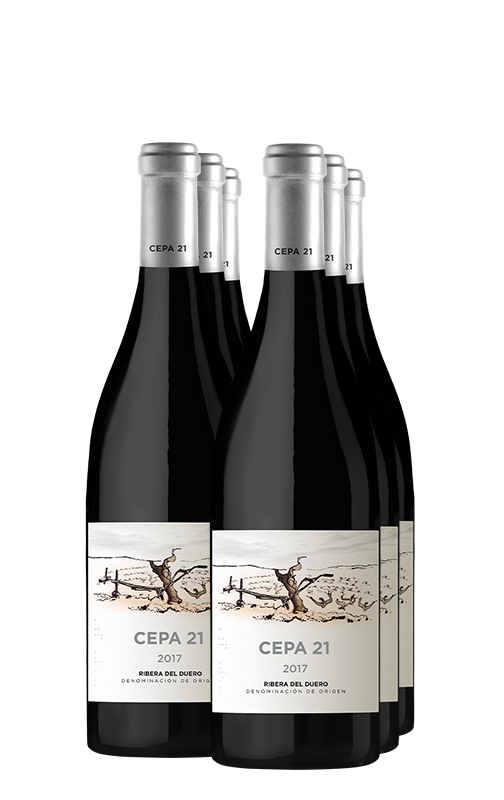 Comprar Cepa 21 2017 (x6) | Bodeboca