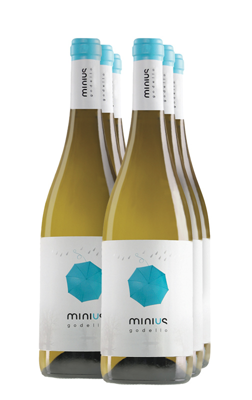 Minius Godello 2021 (x6) | Comprar por 66 € en Bodeboca