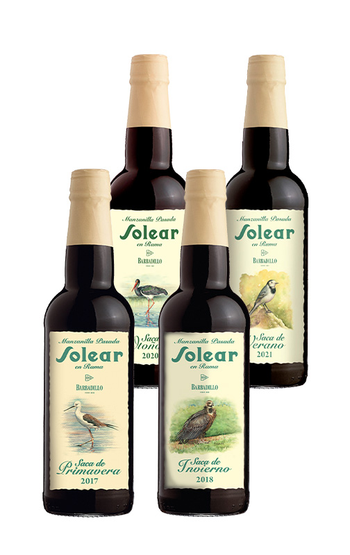 Comprar Pack Vertical Solear en Rama (x4) | Bodeboca