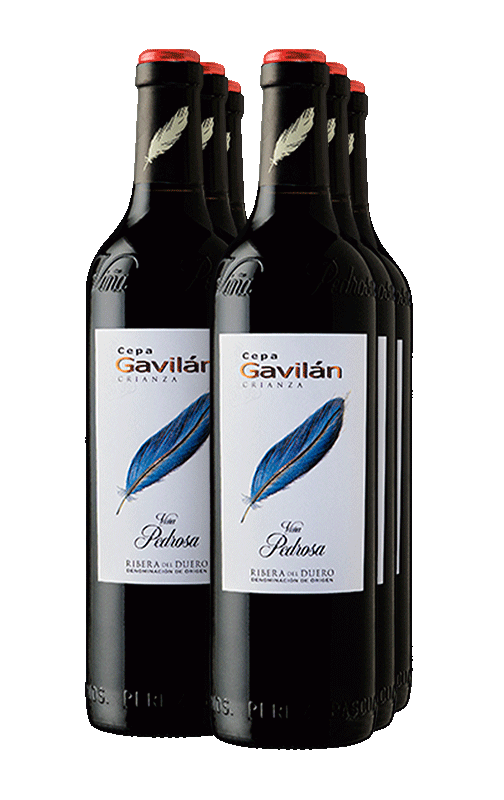 Comprar Cepa Gavilán Crianza 2020 (x6) | Bodeboca
