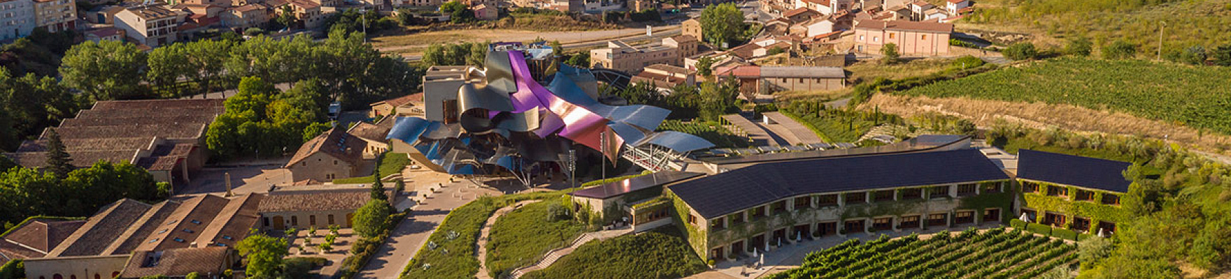 Comprar Marqués de Riscal Reserva 2019 (x1) y XR 2019 (x1) con Estuche ...