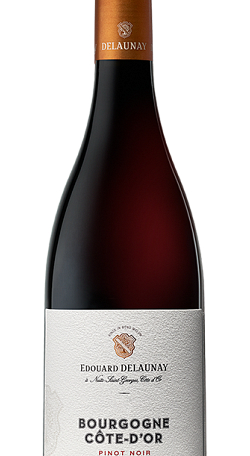 La bodega | Bodeboca