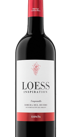 La bodega Loess | Bodeboca