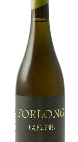 La bodega Bodega Forlong