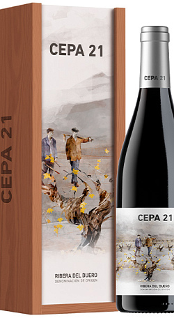 La bodega | Bodeboca