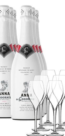 Venta privada Packs Anna de Codorníu | Descuentos por tiempo limitado